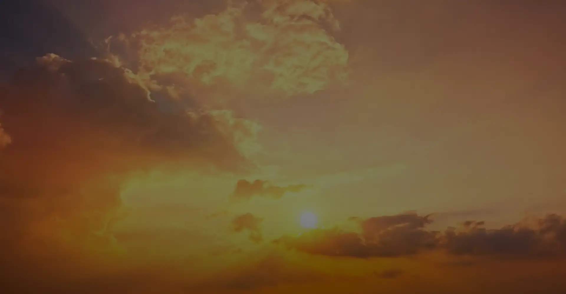 Landscaping Solutions - Turf Tech Pros